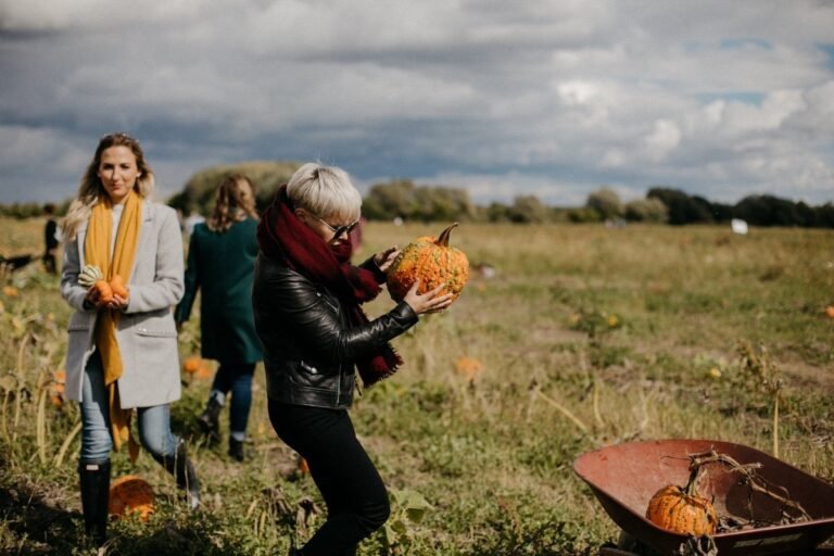 Centre d’Interprétation de la Courge du Québec | Activité à ...