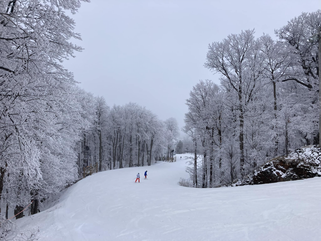 Ski Mont Saint-Bruno : Votre escapade alpin en Montérégie